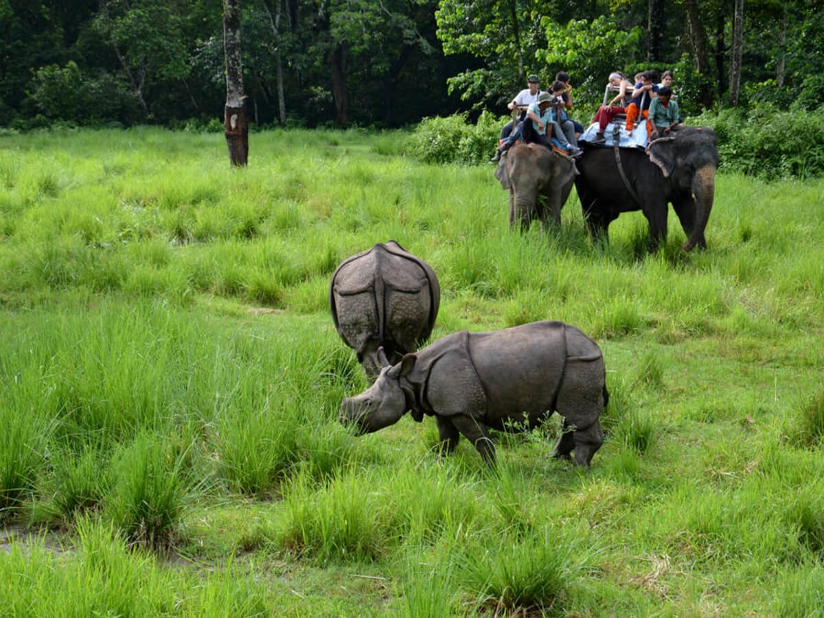 2 Nights 3 Days Chitwan Tour Package: Itinerary and cost 2025/26